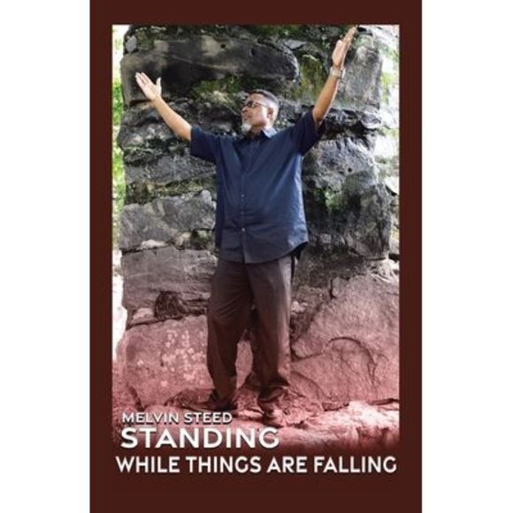 Melvin Steed | Other | Standing While Things Are Falling Melvin Steed ...